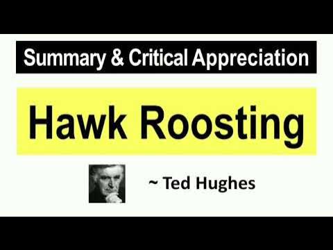 Hawk Roosting by Ted Hughes || Summary and Critical Analysis with Notes ...