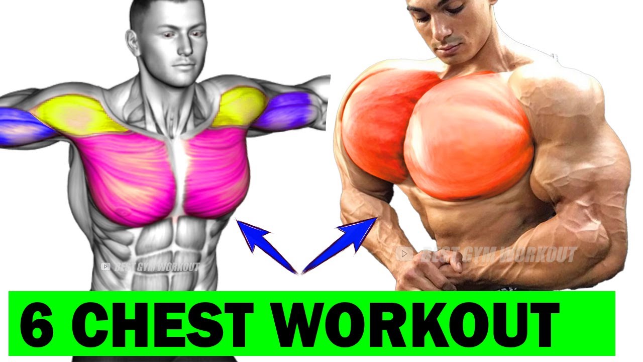 6 Best Gym Exercises For Chest 🔥 - YouTube