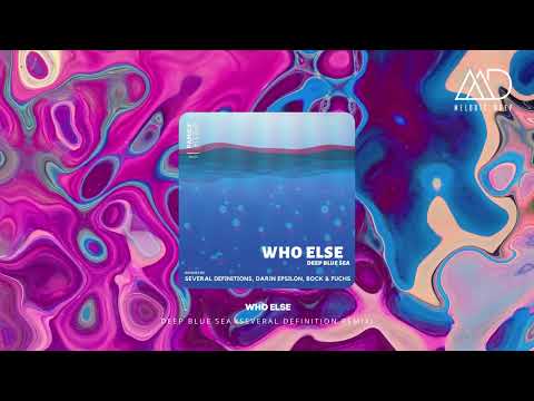 Who Else - (Several Definition Remix) [Family Piknik]