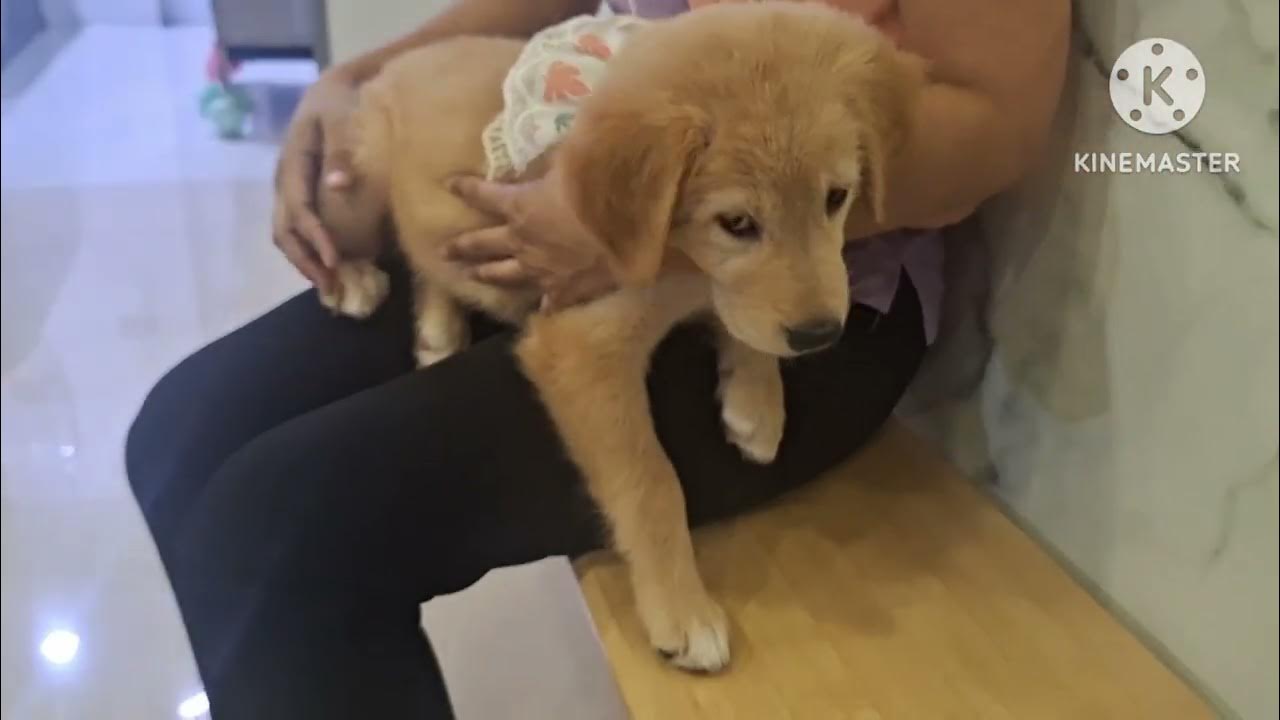 น้องเติมเต็ม ep82 - YouTube