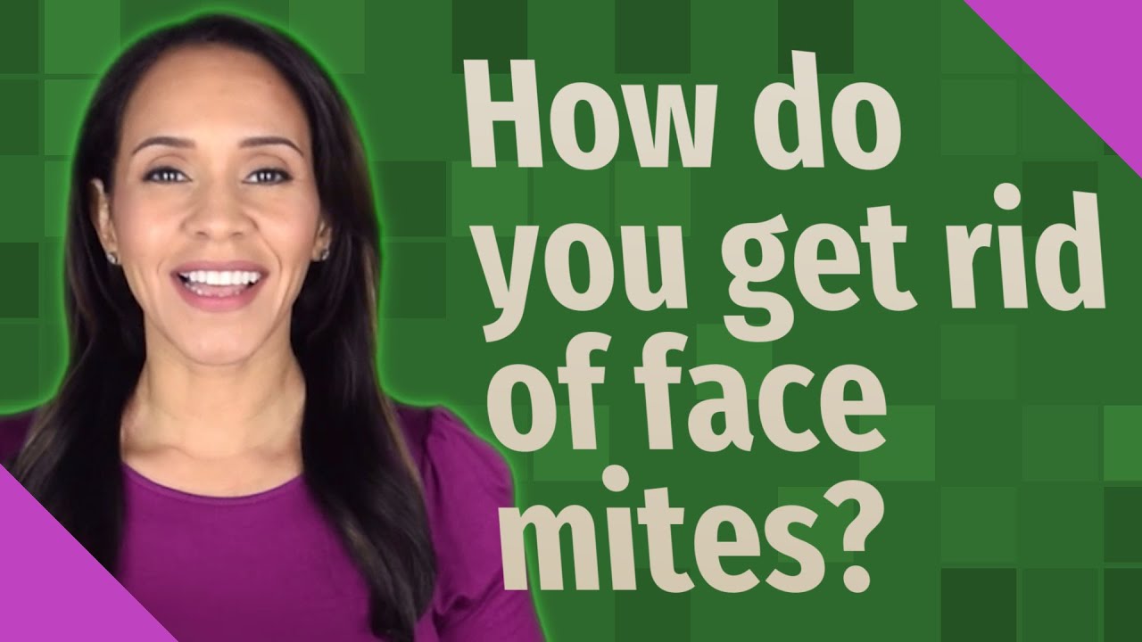 How do you get rid of face mites? - YouTube