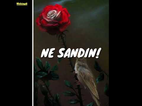 |NE SANDIN|#ibrahimsayar #talhaboraöge #şiir #nesandin