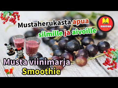 Mustaviinimarja smoothie. Mustaherukasta apua silmille ja aivoille ...