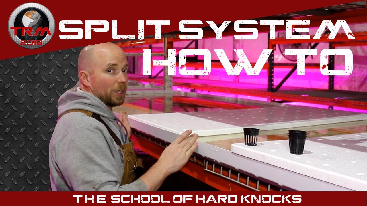 How to Setup a SPLIT SYSTEM Aquaponic FLOATING RAFT System - YouTube
