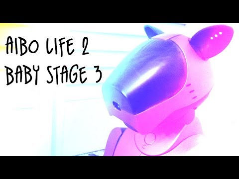 Aibo life 2 baby stage 3 - YouTube
