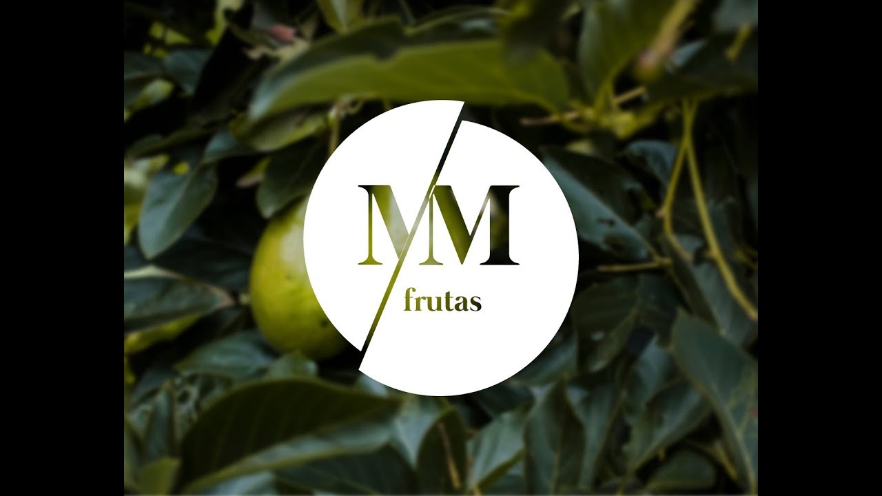 Madeira Matias frutas | logo and branding - YouTube