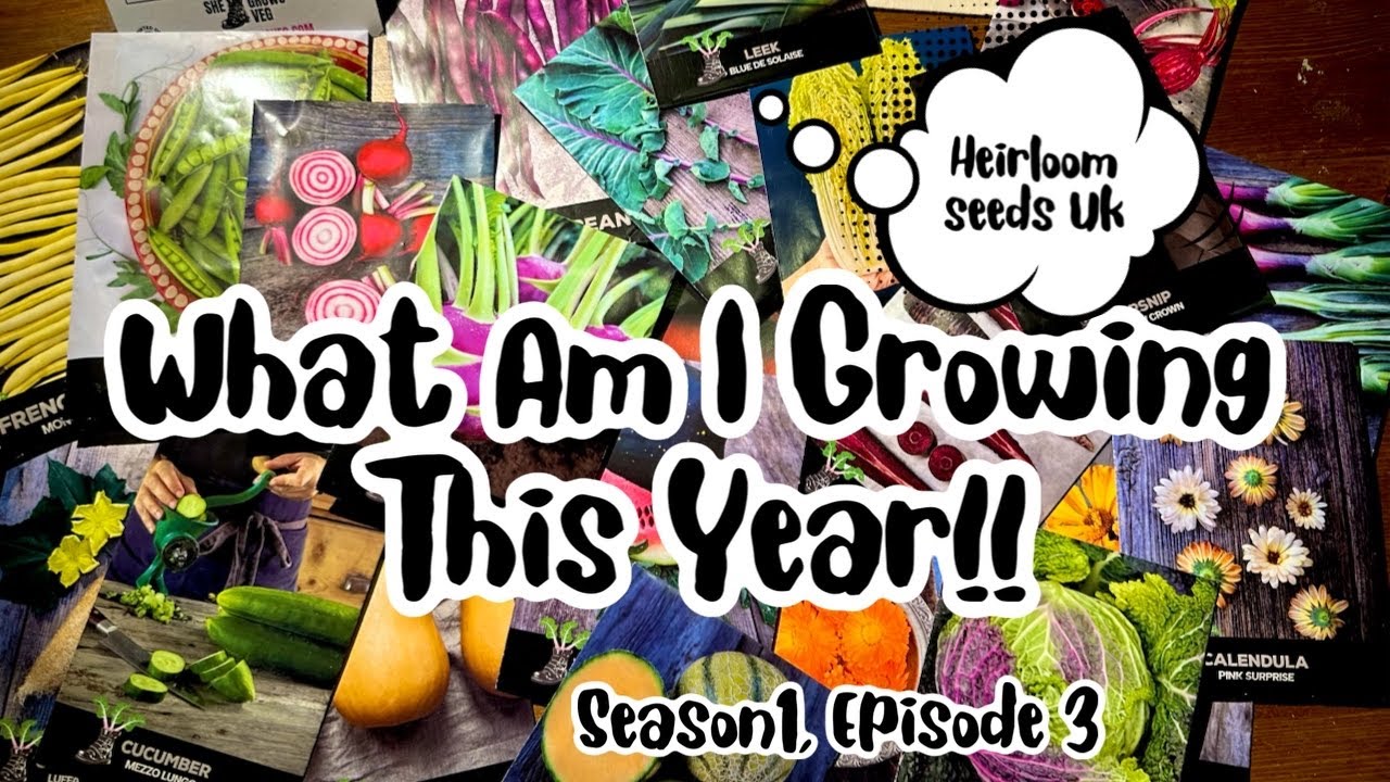 What Am I Growing This Year | Heirloom Seeds From She Grows Veg | S1 E3 ...