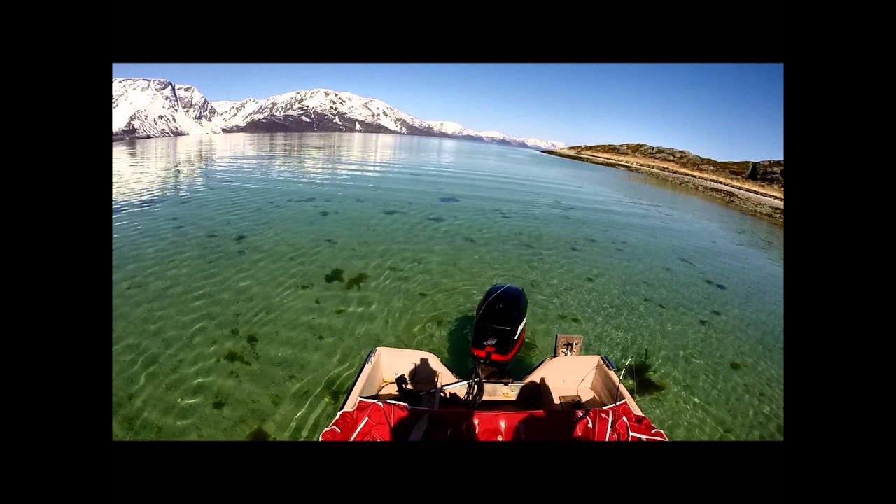 Steinbit spearfishing catfish - YouTube