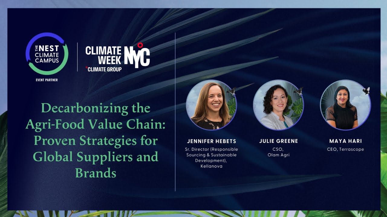 Decarbonizing the Agri-Food Value Chain: Proven Strategies for Global Suppliers and Brands - YouTube