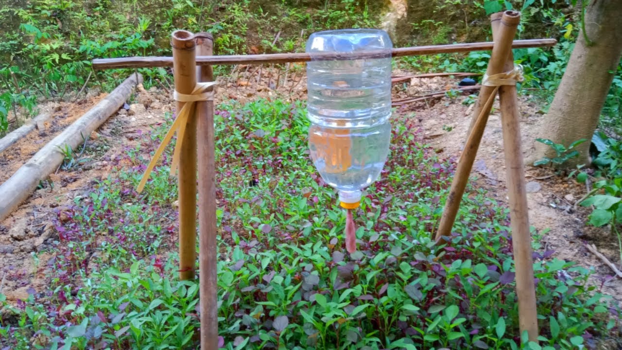 Cheap simple drip irrigation system for the summer hot easy to make ...