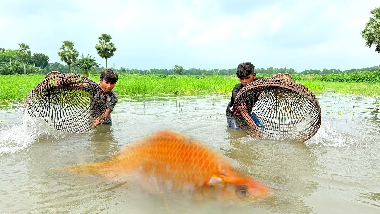 Amazing Fishing Idea💥💥 Traditional Cast Fish With Bamboo Tools Polo ...