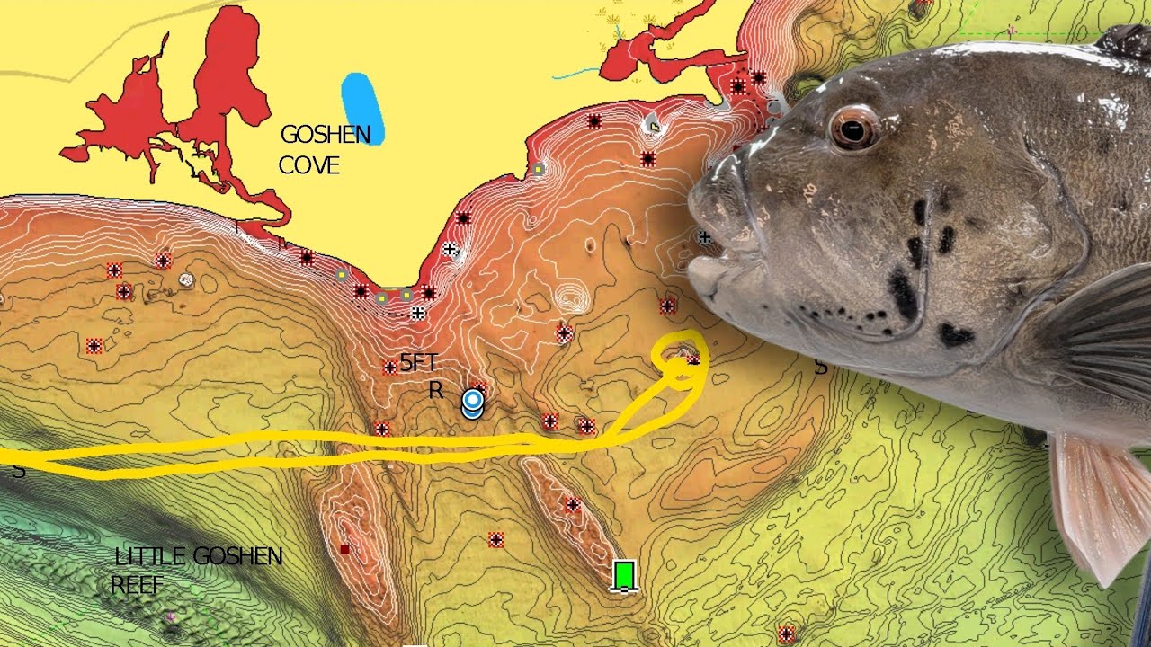 AWESOME Long Island Sound Blackfish (Tog) Spots! - YouTube