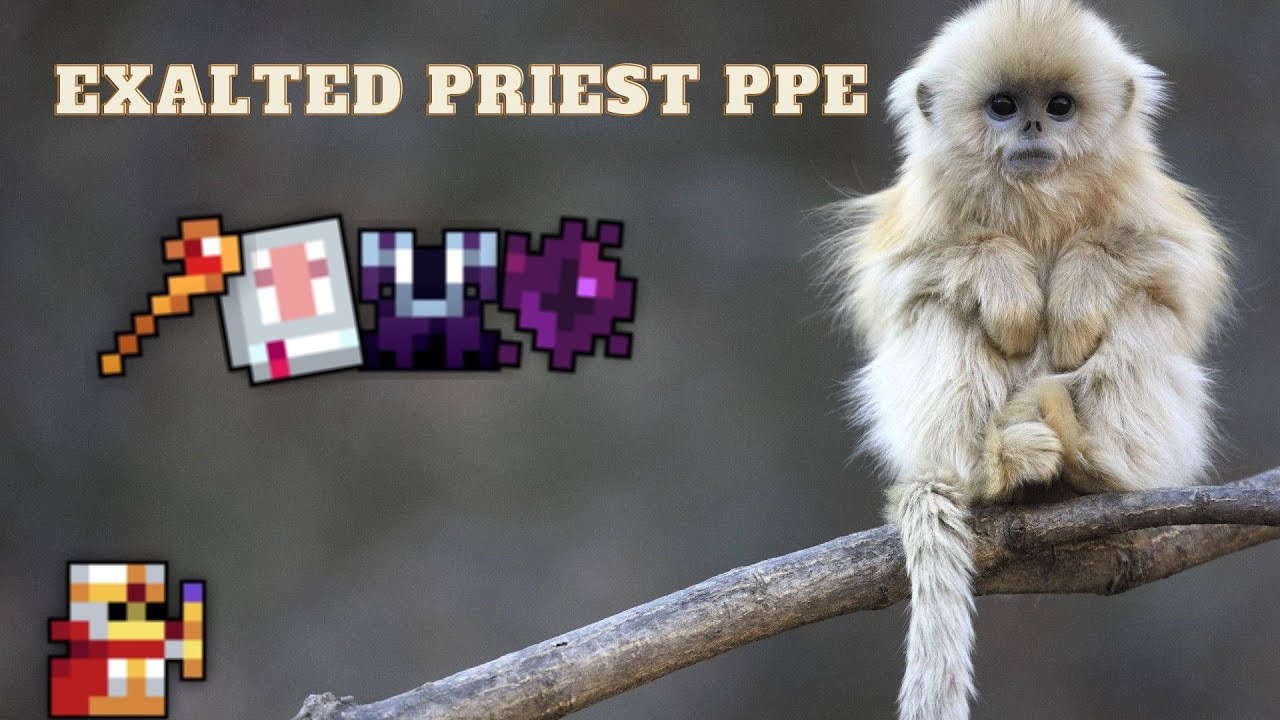 Top 50 Exalted Priest PPE | ROTMG - YouTube