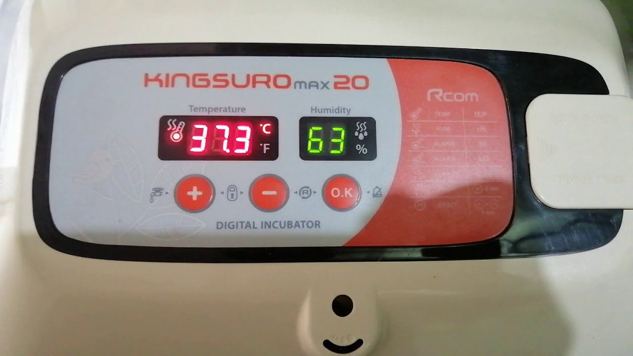 Rcom 20 egg incubator - YouTube