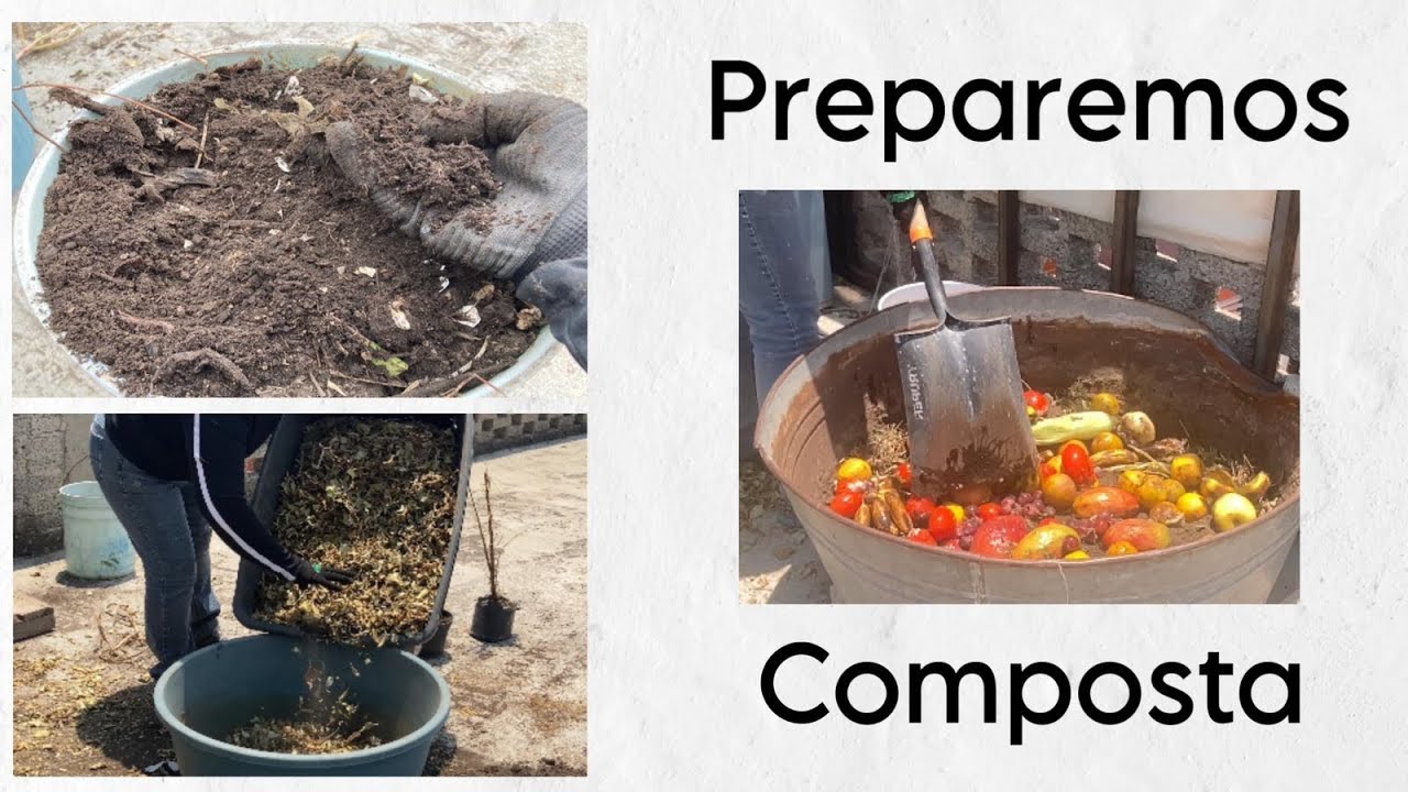 Composta hecha a base de hojas secas y desechos orgánicos 😃 - YouTube