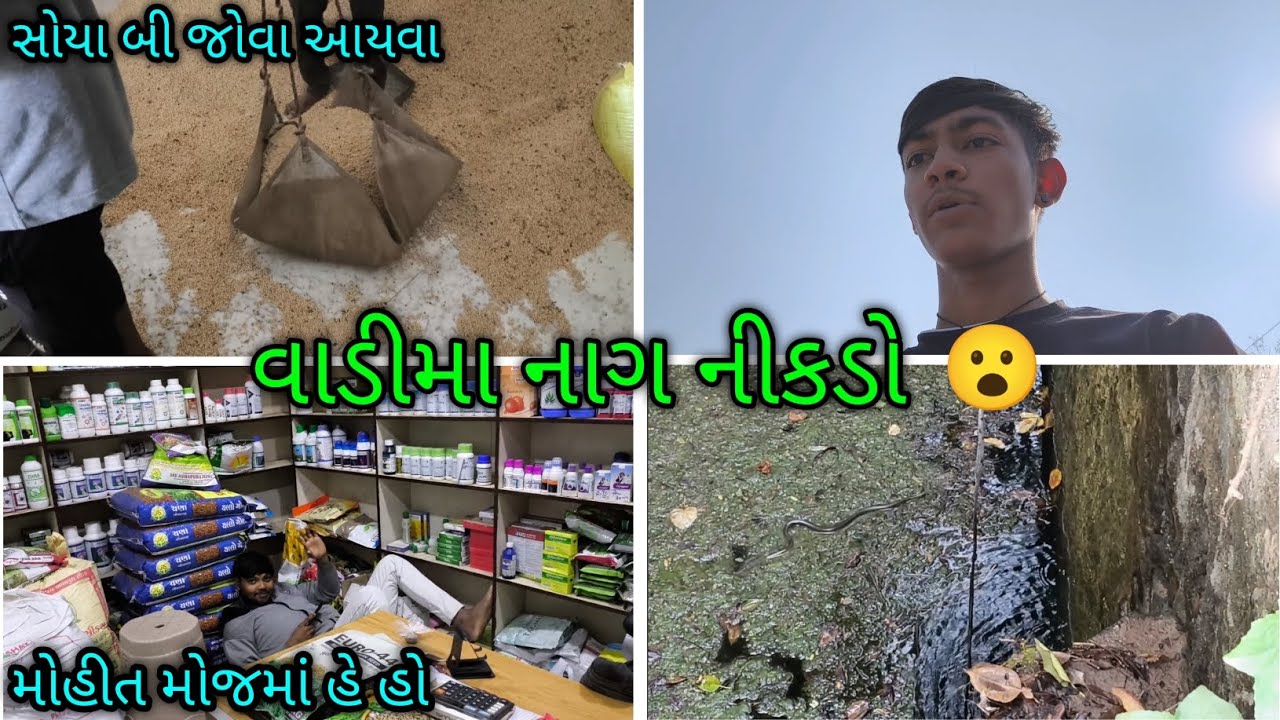 Vadi Ma To Nag Nikdo #viral #viralvideo #trending #vlog - YouTube