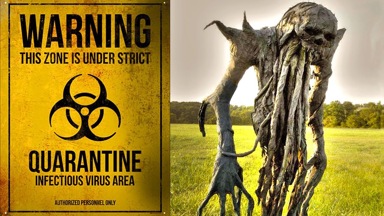 5 Unknown Dangerous SCP Anomalies - YouTube