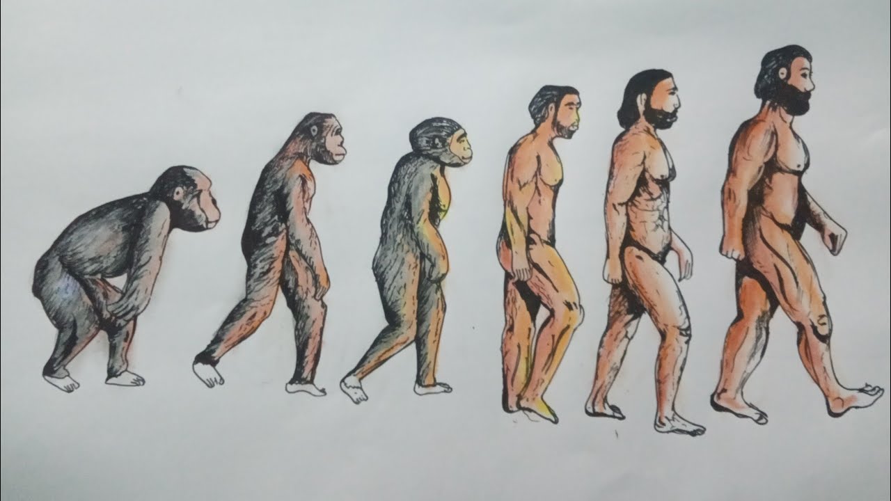 Art Of Human Evolution By Crayon Colours YouTube Art Of Human Evolution By Crayon Colours YouTube