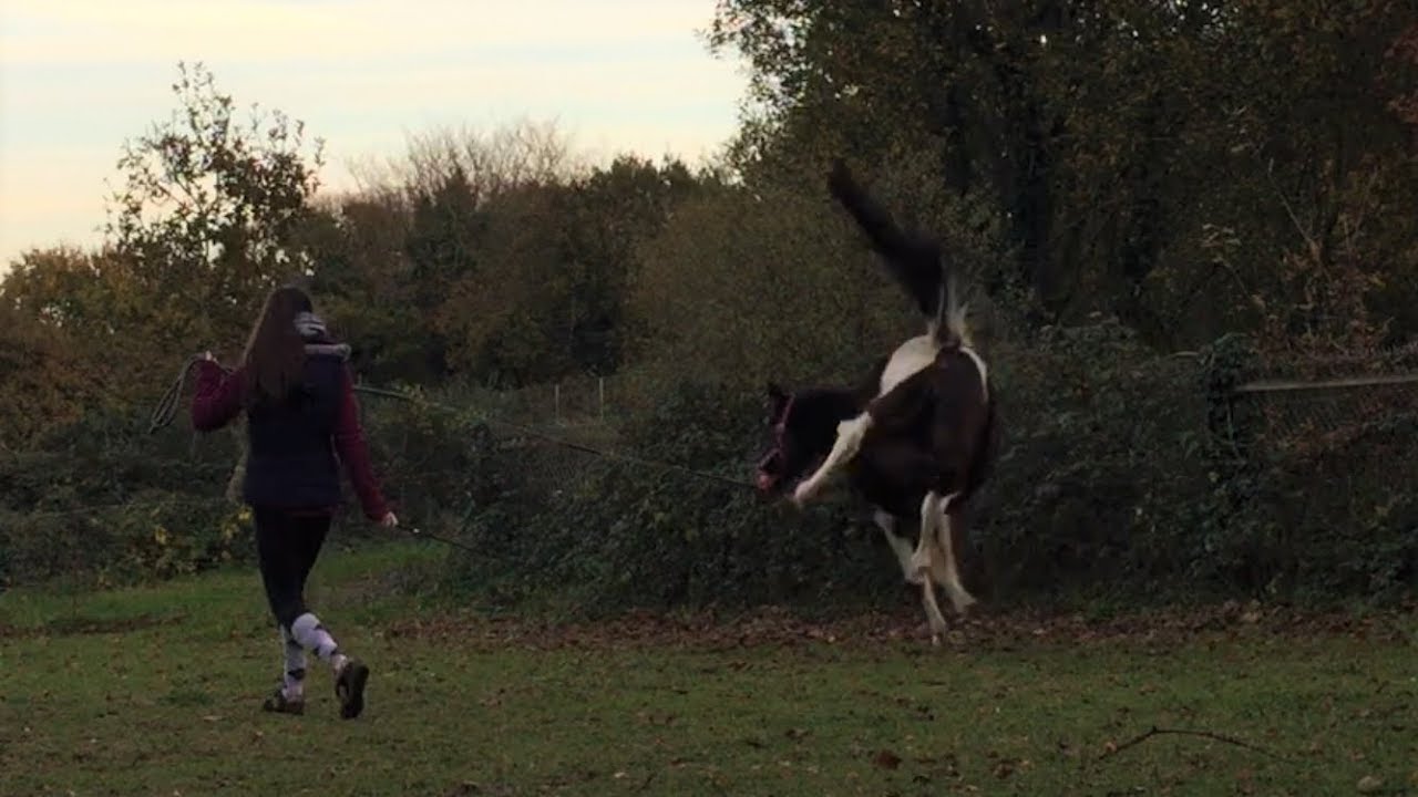 13 novembre 2018 - KEBELLE SE DEFOULE 😁 - YouTube