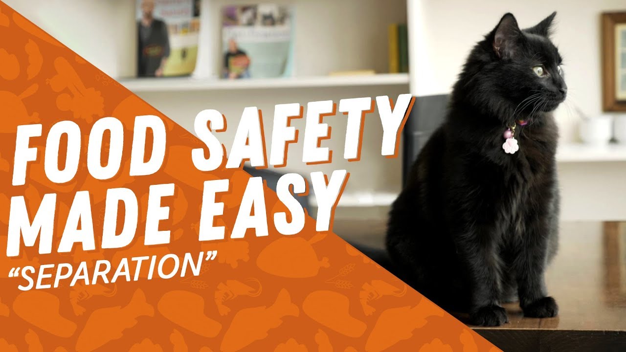 FOOD SAFETY MADE EASY \\ Issue #4 – Separation - YouTube