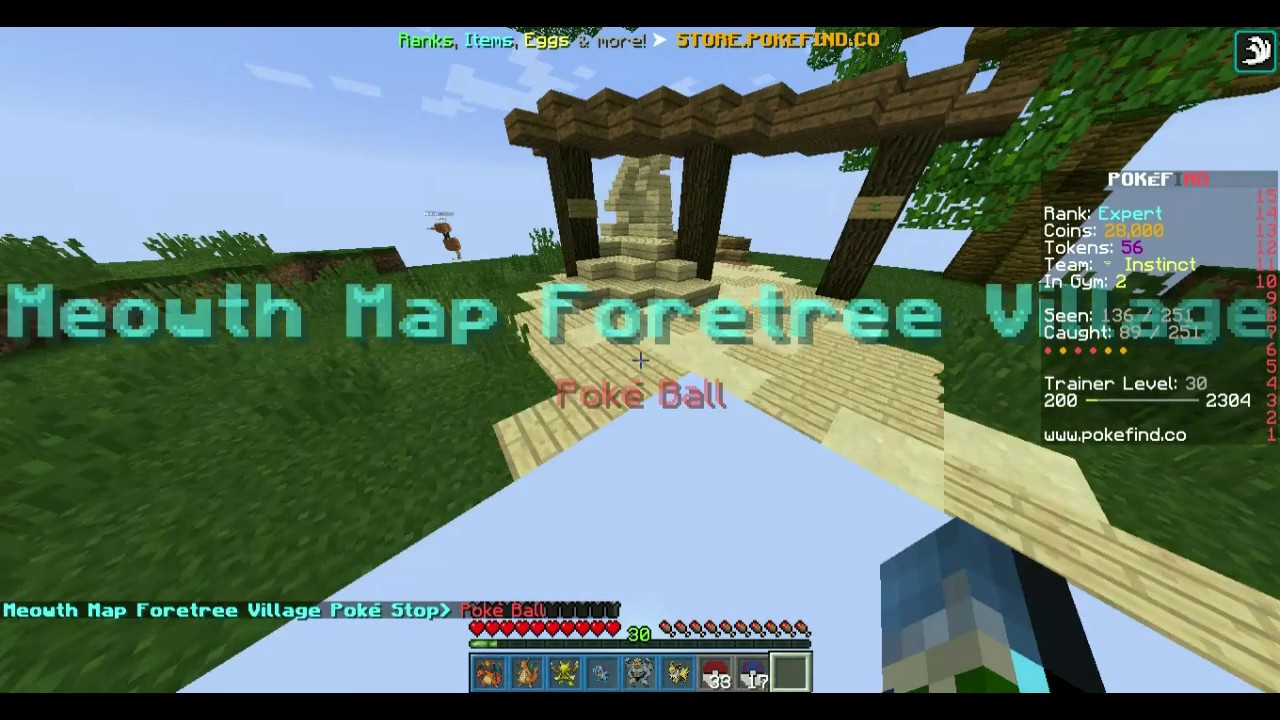 BACK ON POKEFIND?!?!?!?! - PokeFind server - YouTube