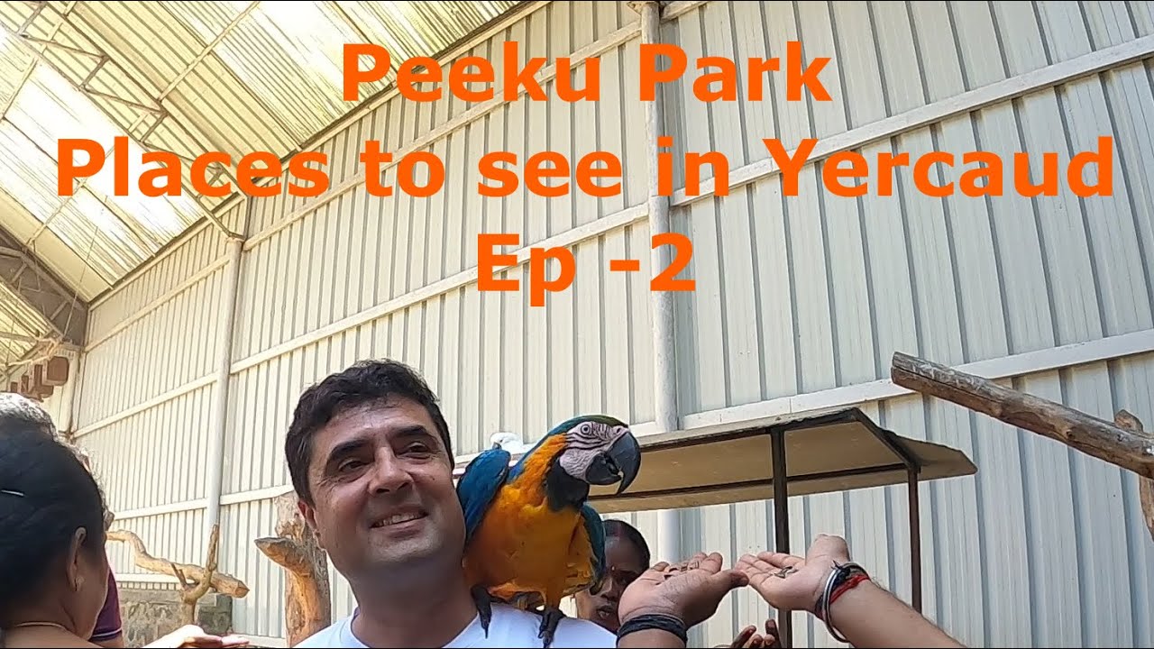 Peeku Park | Places to see in Yercaud Ep 2 - YouTube