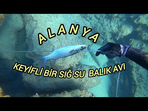 Alanya sığ su da keyifli bir balık avı