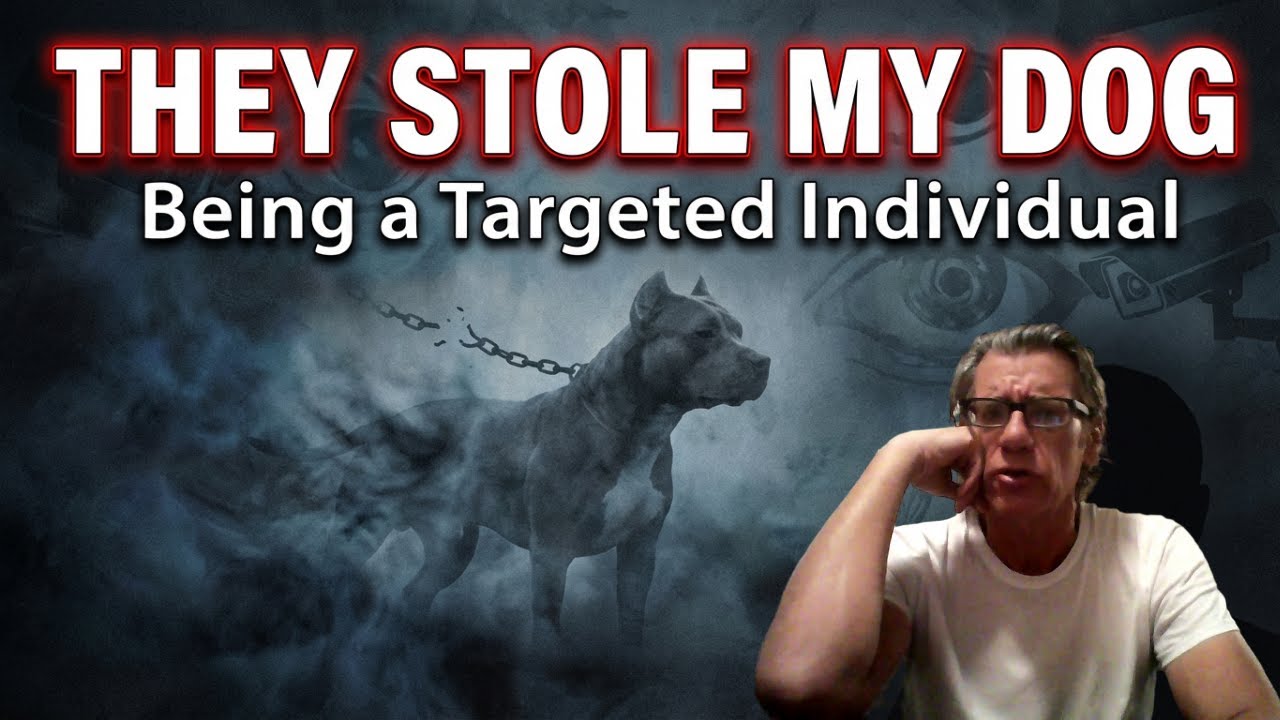 What It's Like Being a Targeted Individual - YouTube