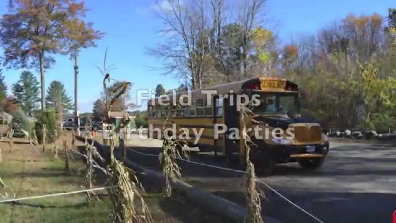 Fairview Tree Farm Holiday Fun - YouTube