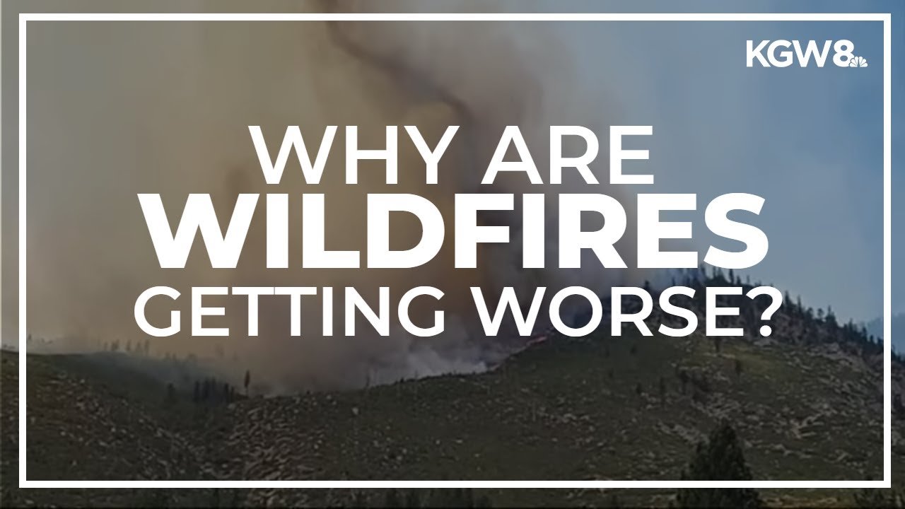 Why wildfires are getting worse | Scorched Earth - YouTube