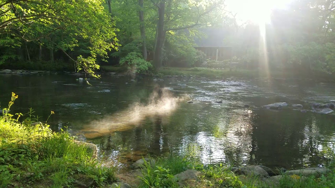 Morning stream meditation - YouTube