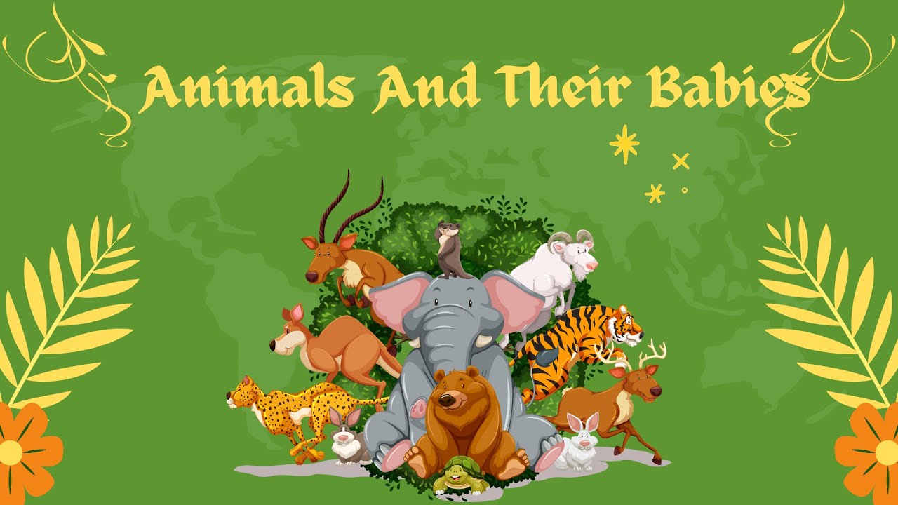 Animals And Their Babies | Animal Babies Cute Names You Didn't Know ...