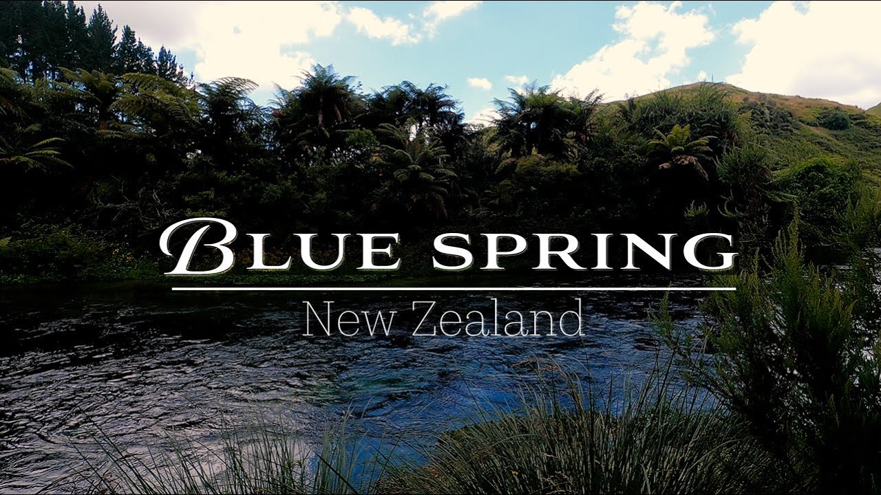 BLUE SPRING New Zealand (A must-visit place) - YouTube