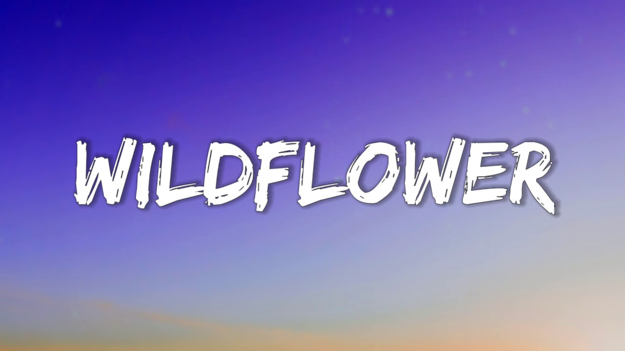 5 Seconds of Summer - Wildflower (Lyrics) - YouTube