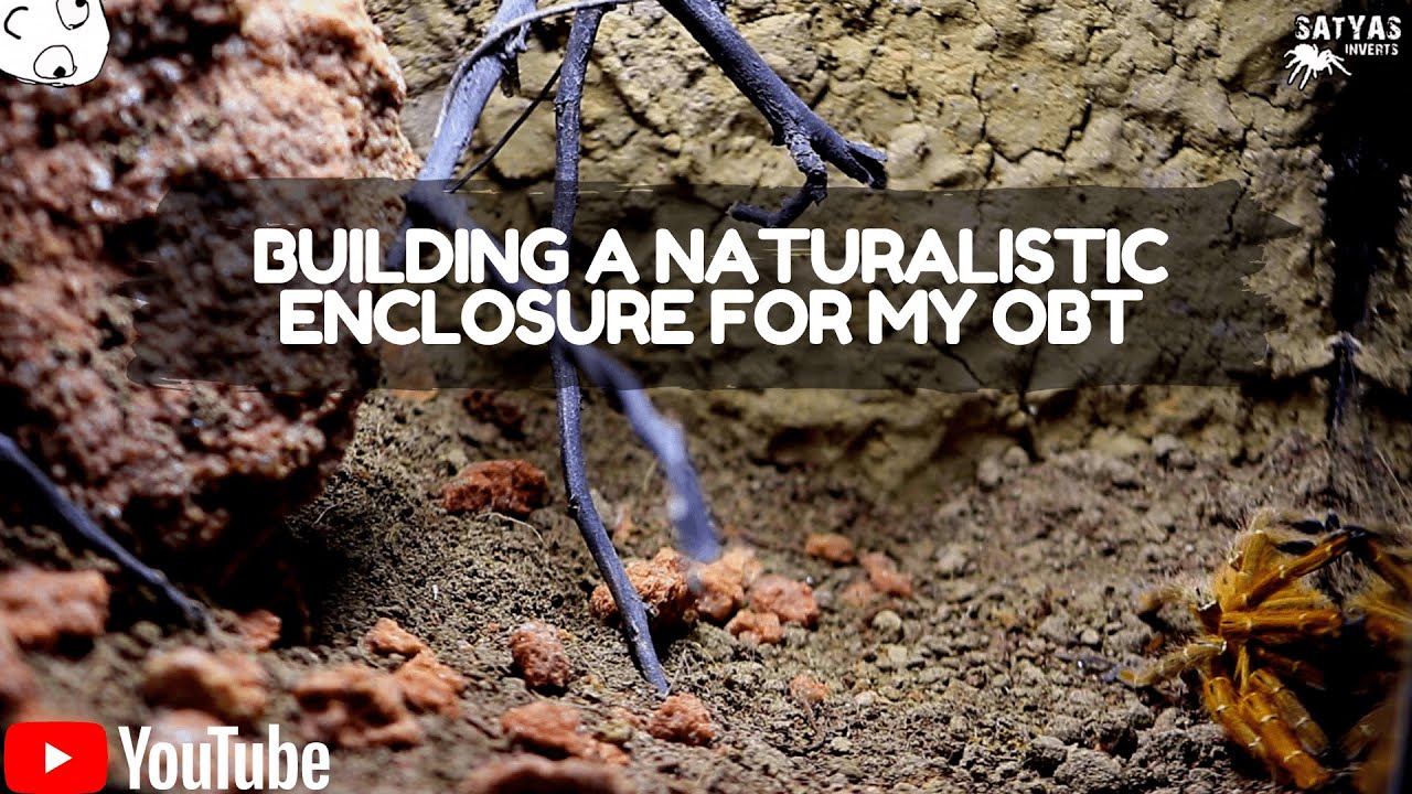 OBT ENCLOSURE GUIDE - YouTube