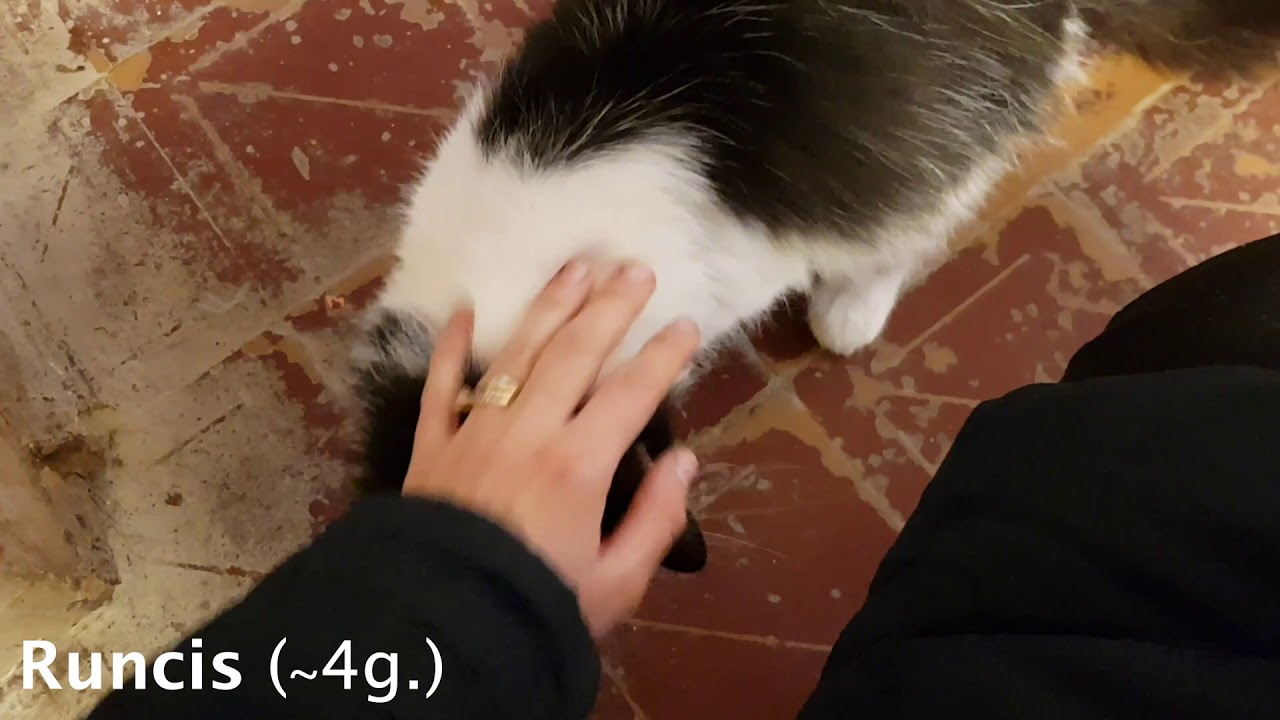 Runcis 4g. (PL1) - YouTube