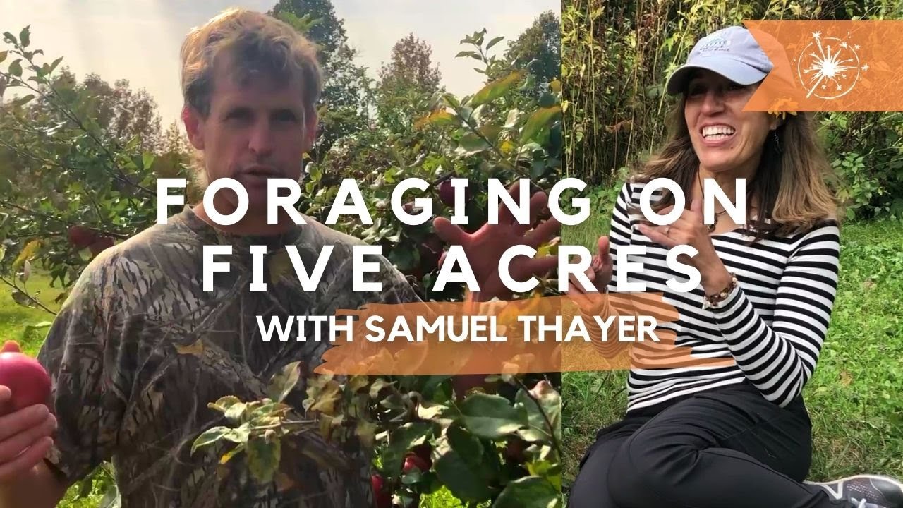 Foraging Food on Five Acres With Samuel Thayer - - YouTube
