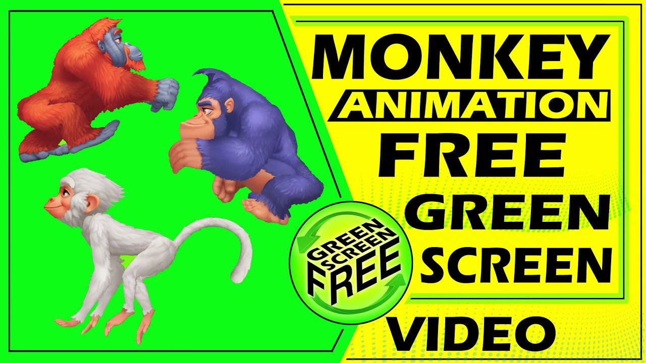 green screen monkey | monkey face green screen | monkey green screen no ...