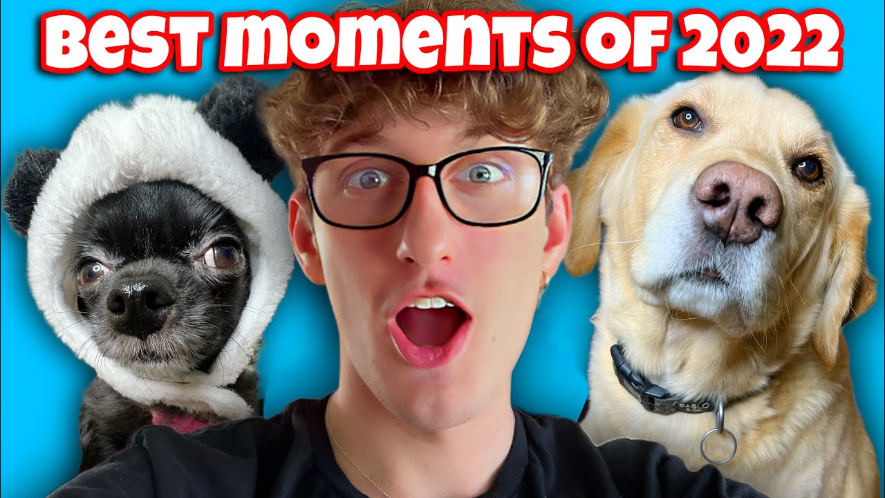 Best Moments Of Josh Puddin & Dozer 2022! - YouTube