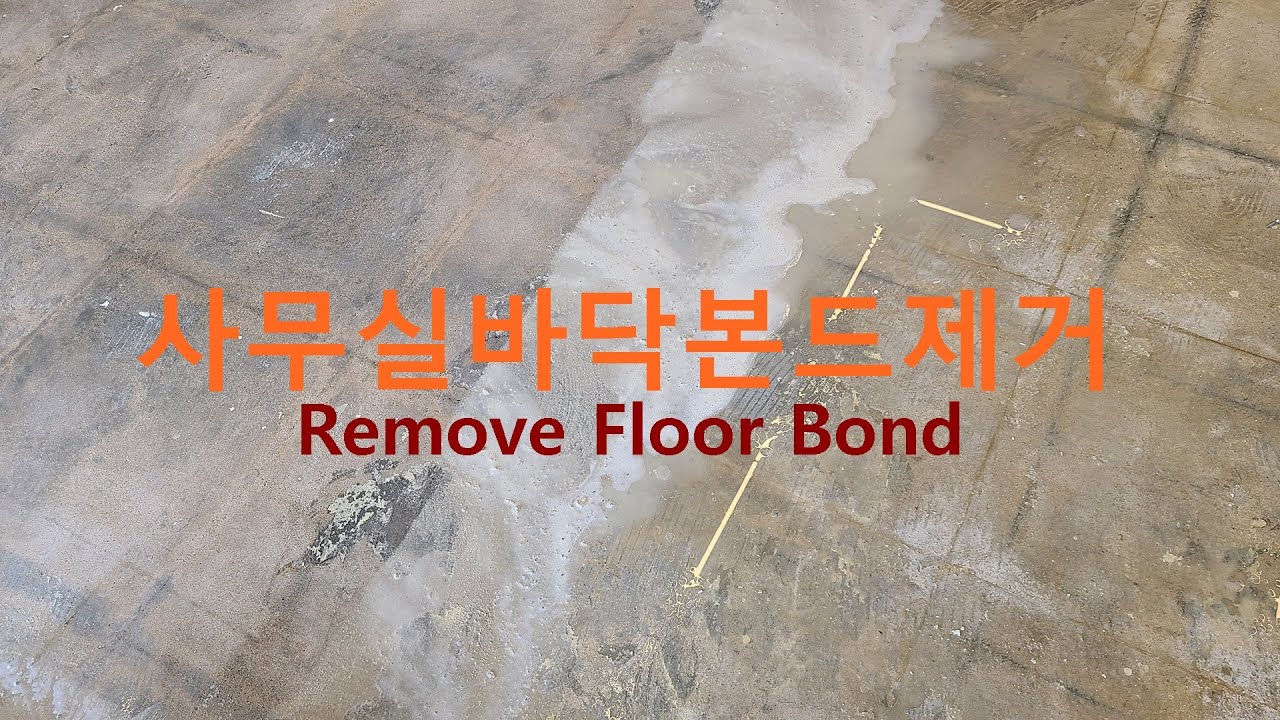 사무실바닥본드제거 Remove floor bond - YouTube