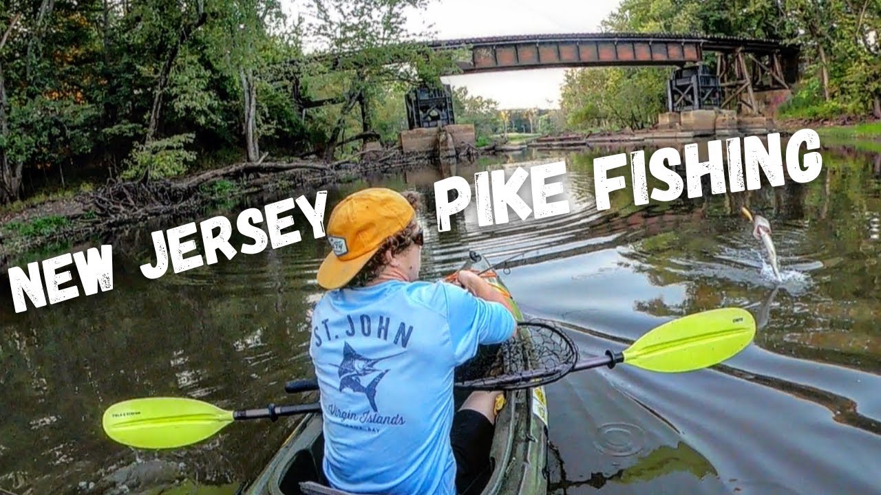 Topwater PIKE Fishing (NEW JERSEY) - YouTube