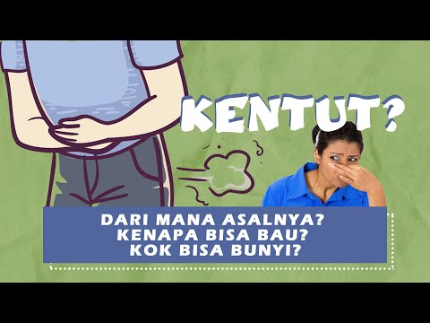Asal Usul Kentut: Kenapa Bisa Bau dan Bersuara?