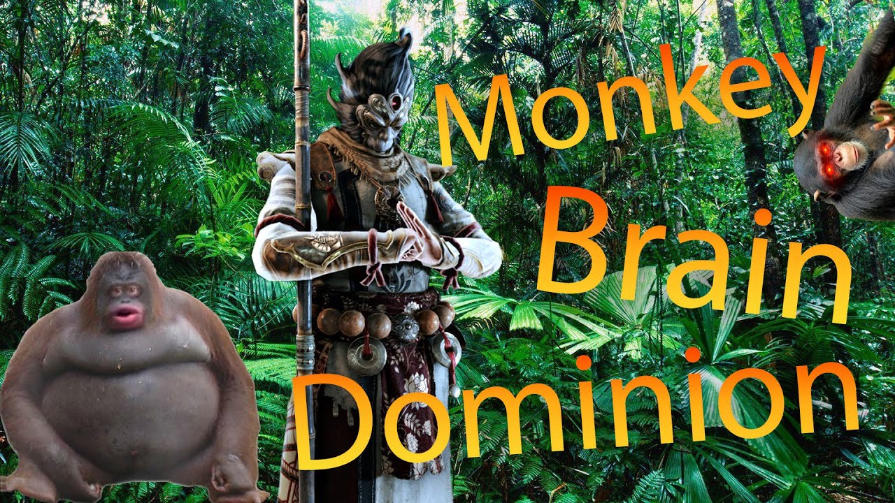For Honor: Playing Shaolin with a Monkey Brain - Shaolin Dominion - YouTube