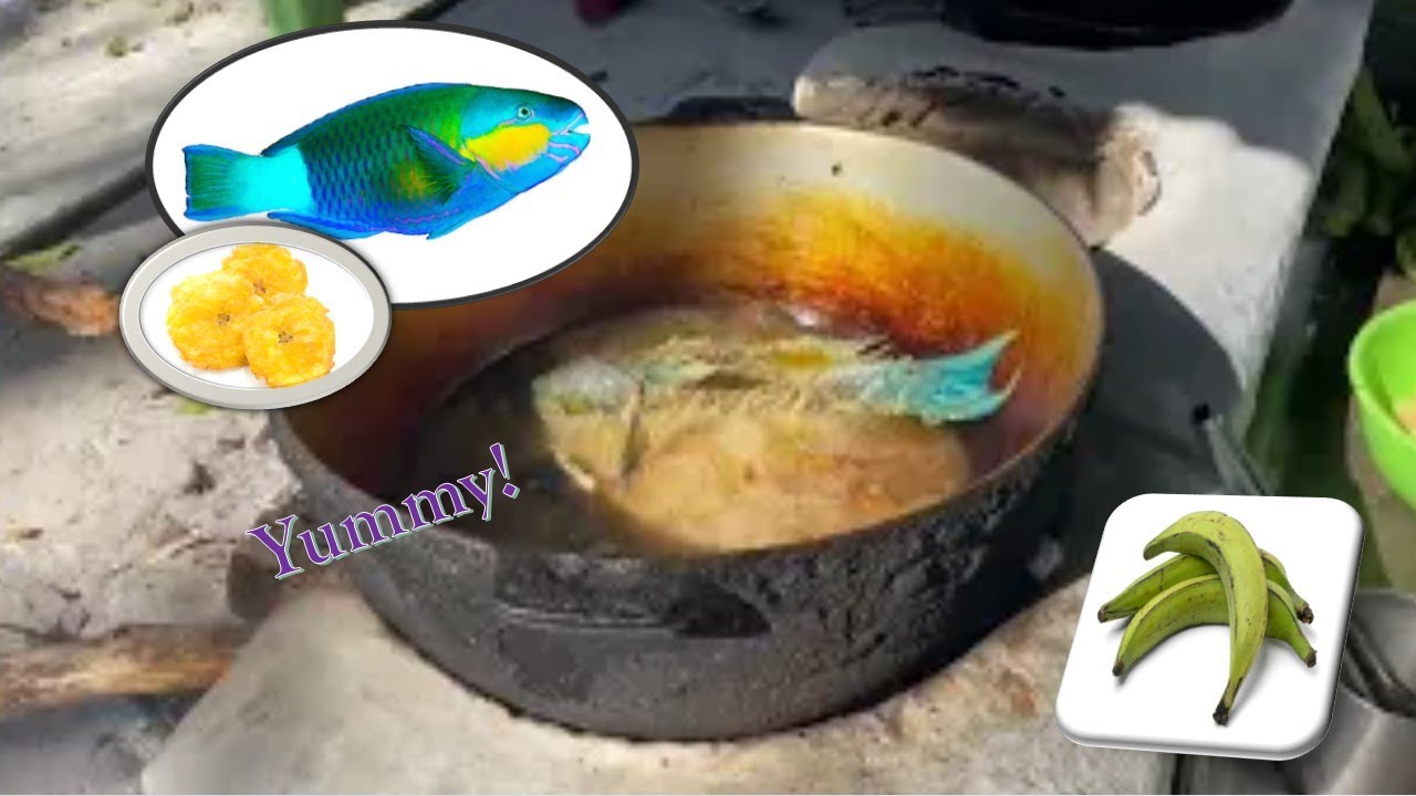 Frying Fresh Fish in the Beautiful Dominican Republic (con lena) - YouTube