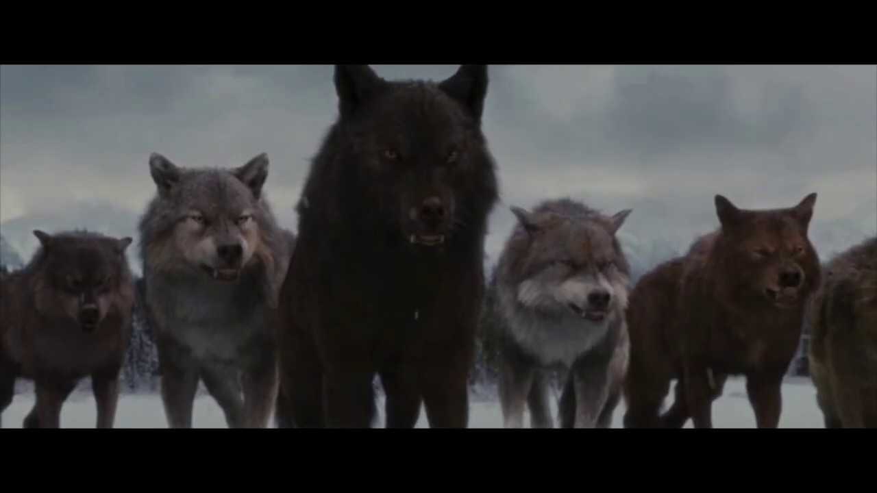 Pirates of the Caribbean: The Curse of the Black Wolf Trailer 🐺 - YouTube