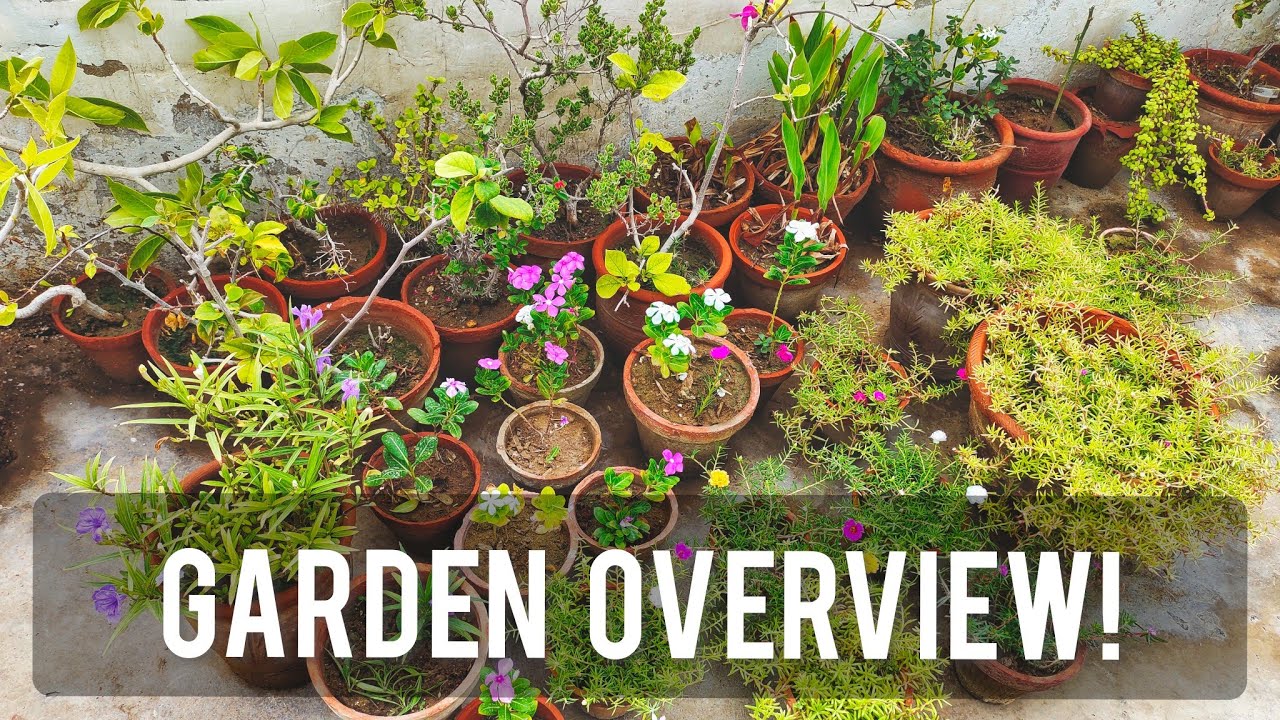 So Much Has Changed! Garden Overview After a Break - YouTube