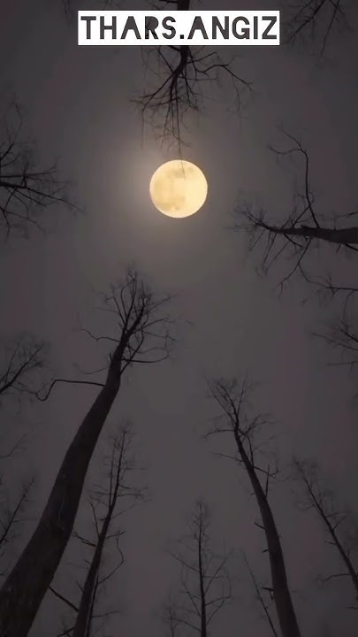 DASTANE.TARSNAK #⃣ #horrorstories #جن #عجیبی #ghost #داستان #creepy ...