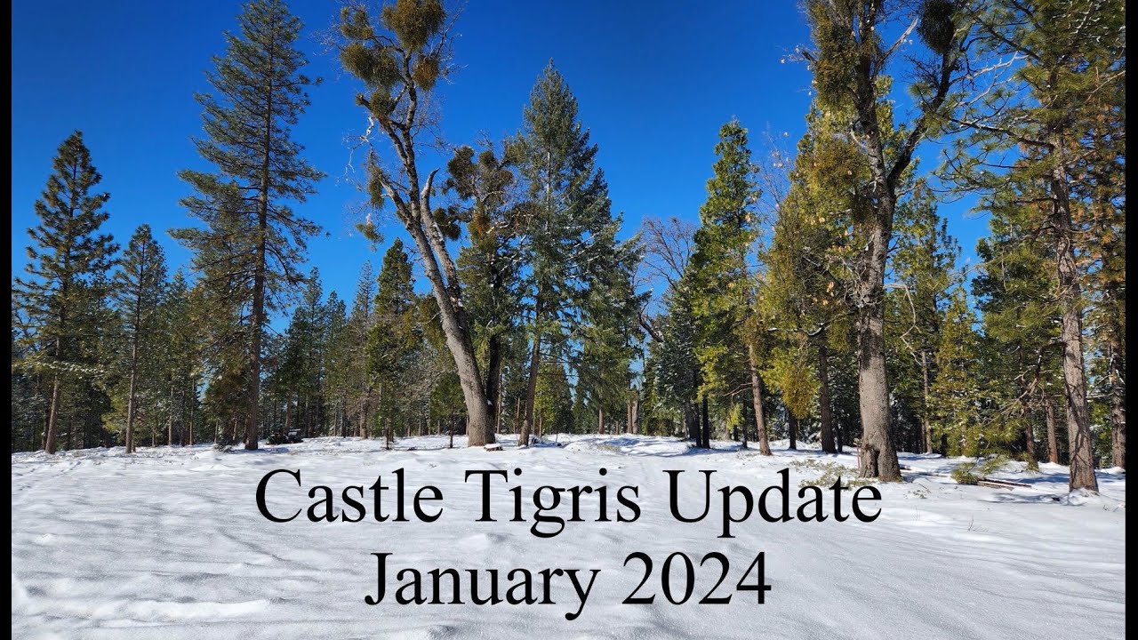 08 - Tiger Castle January 2024 Update - YouTube