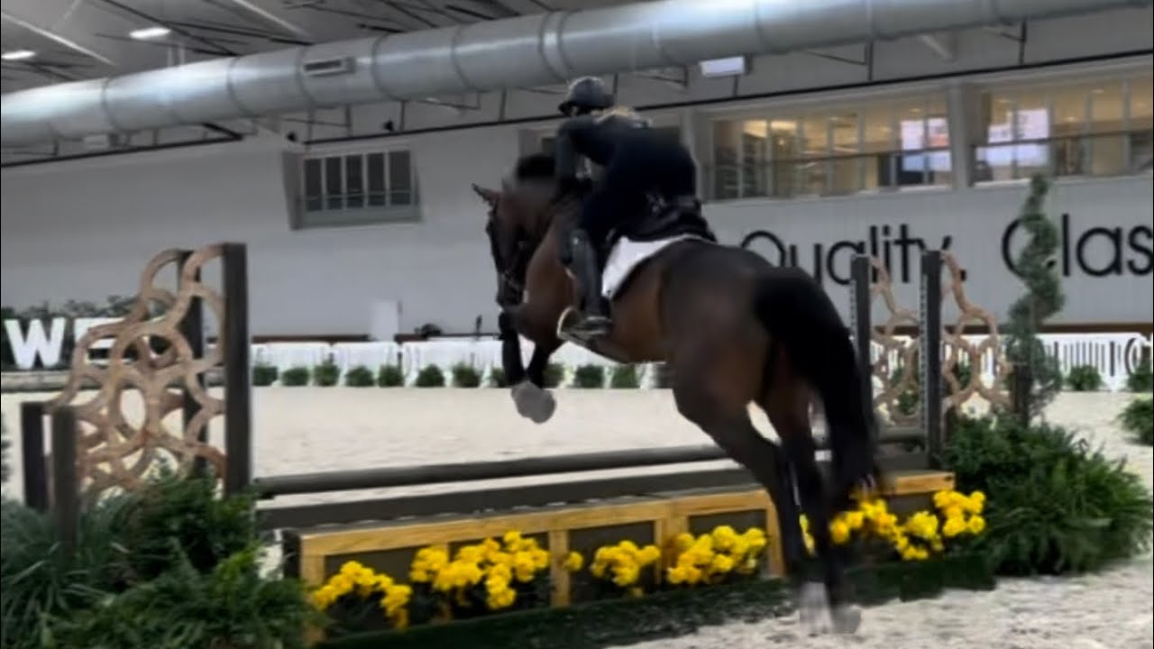 Cali Blue PS (Hunter Ring, WEC Ocala) - YouTube