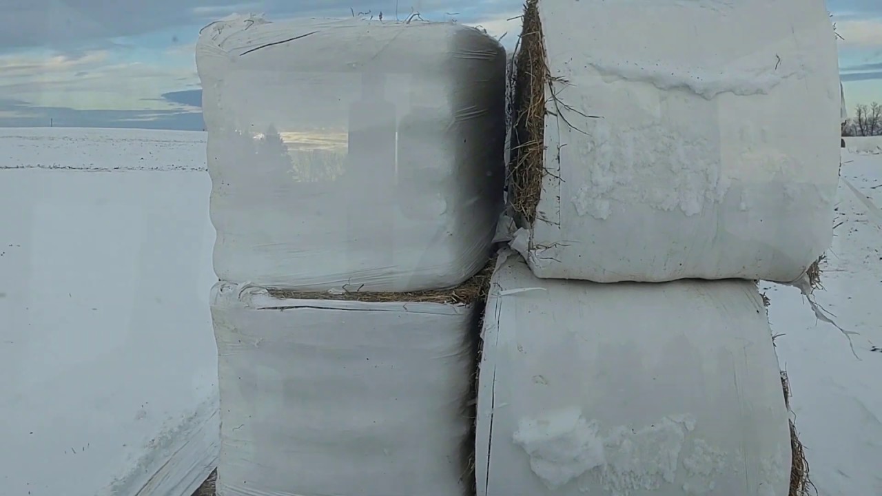 Loading bales - YouTube